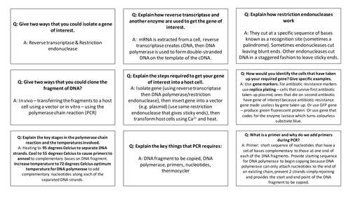 AQA A2 Biology Gene Technology Revision Cards for connect four (new ...