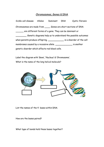Genes and evolution revision Powerpoint and booklet suitable for KS3 ...