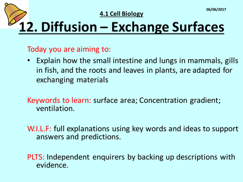 Lesson 12 Diffusion Exchange Surfaces AQA Trilogy GCSE (9-1) 4.1 Cell ...