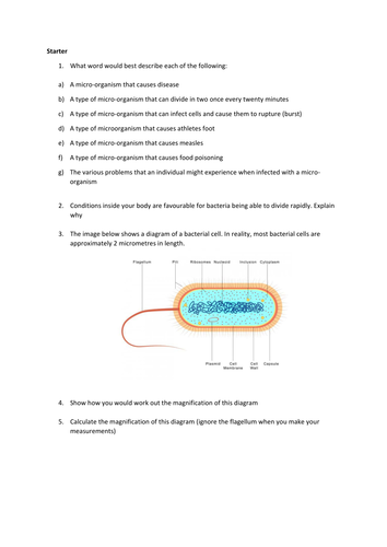 GCSE Starter: Bacterial cells | Teaching Resources