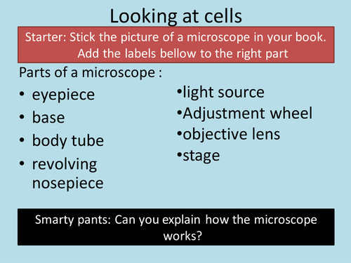 Looking at cells | Teaching Resources