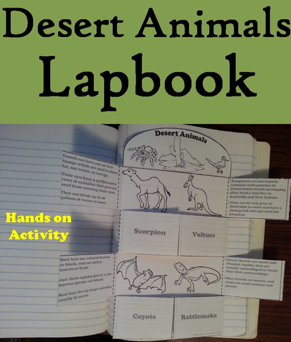 Desert Animals Lapbook | Teaching Resources