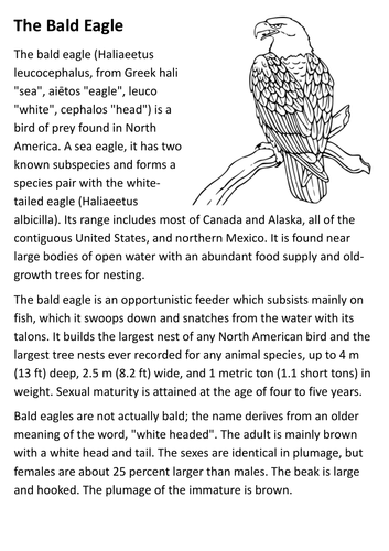 Bald eagle Handout | Teaching Resources