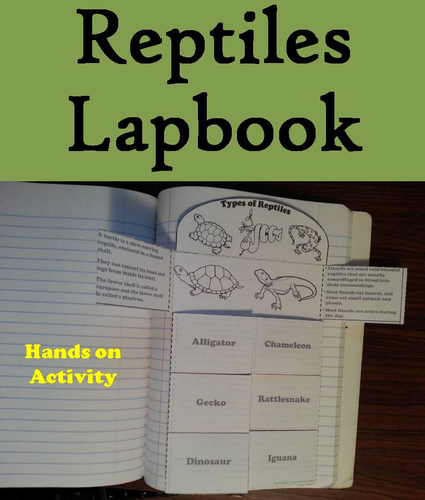 Reptiles Lapbook | Teaching Resources