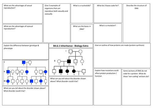 B6 - Inheritance, variation and evolution revision broadsheets for new ...
