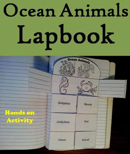Ocean Animals Lapbook | Teaching Resources