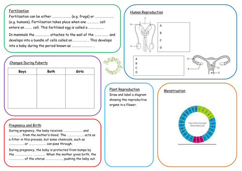 JMn Shop - Teaching Resources - TES