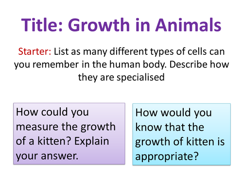 Growth in Animals | Teaching Resources
