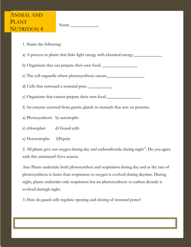 Animal and plant Nutrition 4 | Teaching Resources