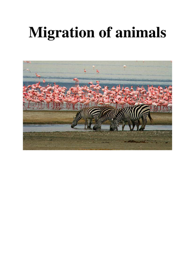 MIGRATION | Teaching Resources