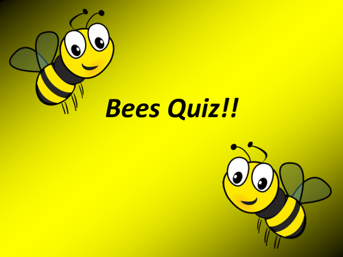 Bees quiz! | Teaching Resources