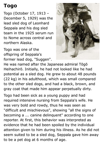 Togo, the Dog Who Saved Nome Handout | Teaching Resources
