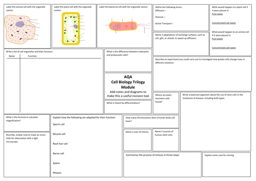 AQA Trilogy Science (9-1) Biology 1 Cell Biology Revision Broadsheet | Teaching Resources