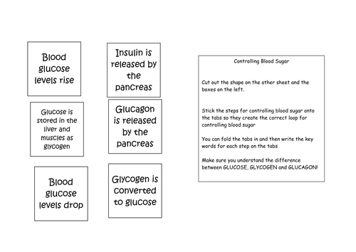 Controlling blood sugar foldable | Teaching Resources