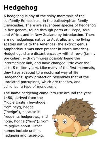 Hedgehog Handout | Teaching Resources