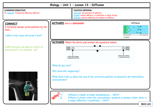 New Spec AQA GCSE Biology - Cell Biology - Diffusion | Teaching Resources New Spec AQA GCSE Biology - Cell Biology - Diffusion | Teaching Resources
