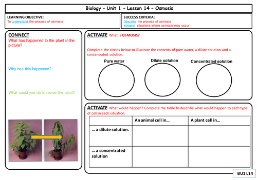 New Spec AQA GCSE Biology - Cell Biology - Osmosis | Teaching Resources New Spec AQA GCSE Biology - Cell Biology - Osmosis | Teaching Resources
