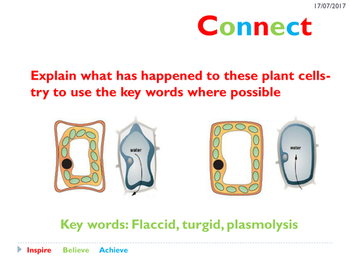 New Spec AQA GCSE Biology - Cell Biology - Osmosis Required Practical ... New Spec AQA GCSE Biology - Cell Biology - Osmosis Required Practical ...