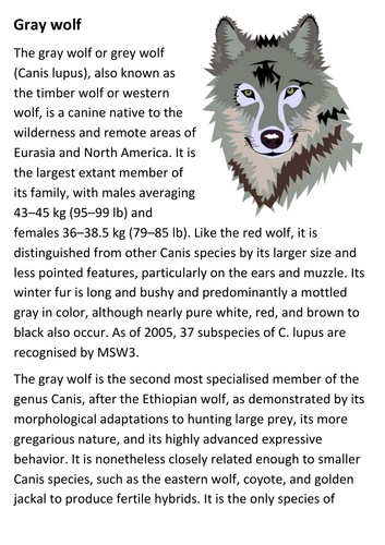 Gray wolf Handout | Teaching Resources
