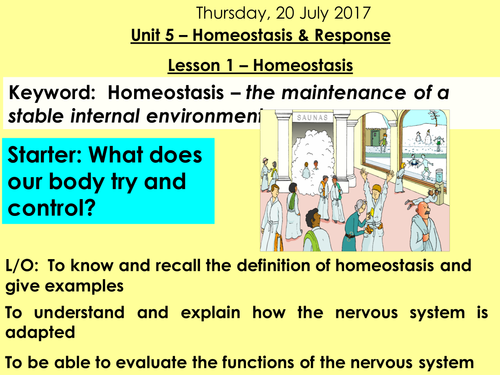 NEW AQA TRILOGY 9-1 UNIT 5 - HOMEOSTASIS AND RESPONSE | Teaching Resources