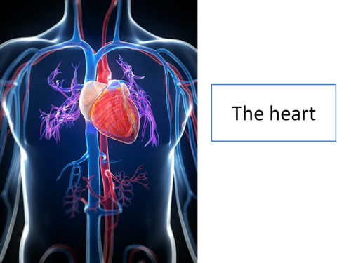 The Heart Boardgame | Teaching Resources