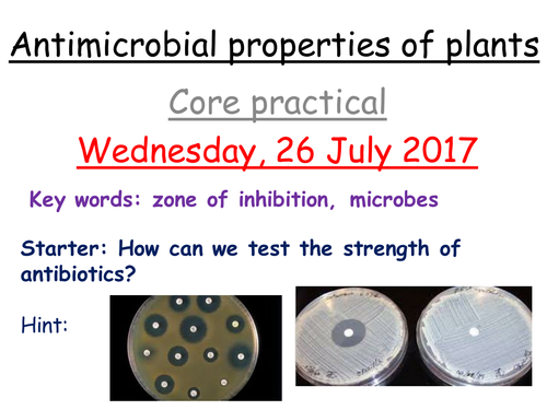 Antimicrobial properties of plants core practical- SNAB A level Biology ...