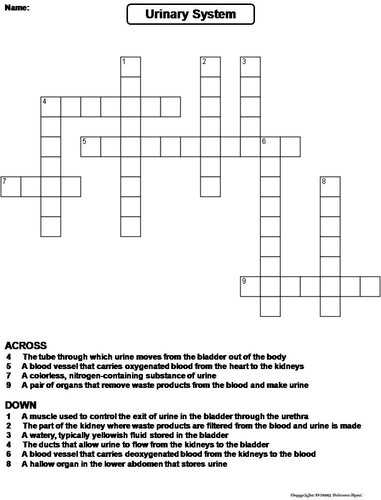 Urinary System Crossword Puzzle | Teaching Resources Urinary System Crossword Puzzle | Teaching Resources