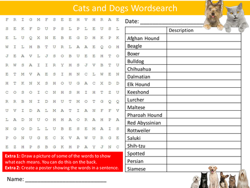 Cats and Dogs Wordsearch Animals Pets Literacy Starter Activity ...