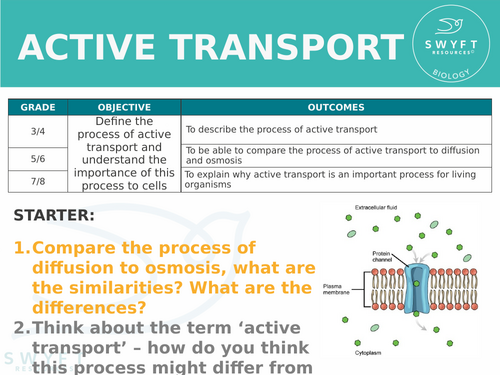NEW AQA Trilogy GCSE (2016) Biology - Active Transport | Teaching Resources