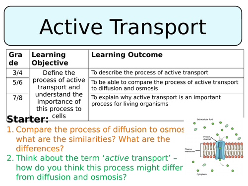 NEW AQA Trilogy GCSE (2016) Biology - Active Transport | Teaching Resources NEW AQA Trilogy GCSE (2016) Biology - Active Transport | Teaching Resources