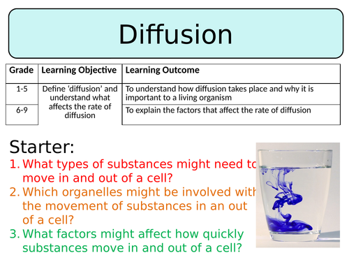 NEW AQA Trilogy GCSE (2016) Biology - Diffusion | Teaching Resources