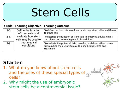 NEW AQA Trilogy GCSE (2016) Biology - Stem Cells | Teaching Resources