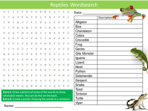 Reptiles Wordsearch Animals Pets Literacy Starter Activity Homework ...