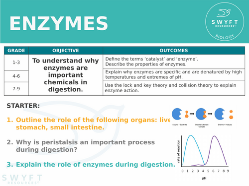 NEW AQA Trilogy GCSE (2016) - Enzymes | Teaching Resources