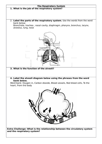 NEW AQA Trilogy GCSE (2016) Biology - Breathing & Gas Exchange ...