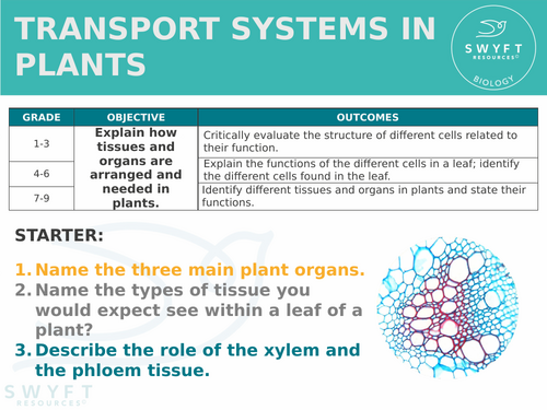 NEW AQA Trilogy GCSE (2016) Biology - Transport in plants | Teaching ...