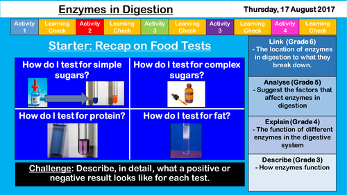 Factors affecting Enzymes - NEW AQA KS3/GCSE | Teaching Resources