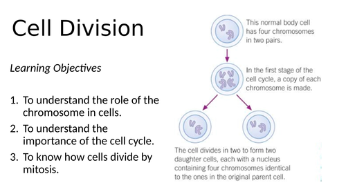 B2.1 Cell division NEW AQA | Teaching Resources