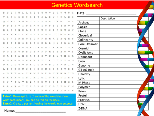 Genetics Wordsearch Biology Literacy Starter Activity Homework Cover ...