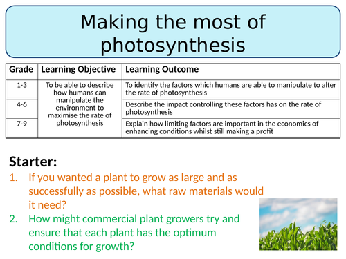 NEW AQA Trilogy GCSE (2016) Biology - Making the most of photosynthesis ...