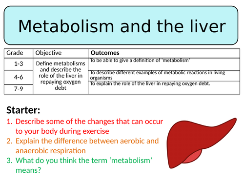 NEW AQA Trilogy GCSE (2016) Biology - Metabolism and the liver ...