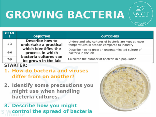 NEW AQA Trilogy GCSE (2016) Biology - Growing Bacteria HT | Teaching ...