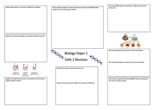 NEW SPEC GCSE Biology Revision Mats - Set 1 | Teaching Resources