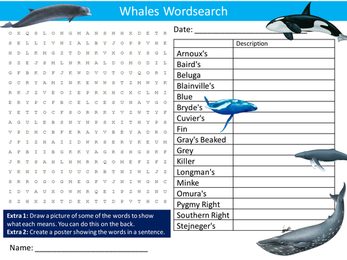 Whales Wordsearch Animals The Sea English Starter Activity Homework ...