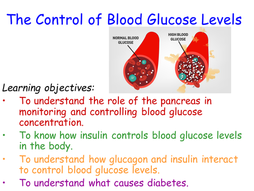 B11.2 The Control of Blood Glucose Levels NEW AQA | Teaching Resources