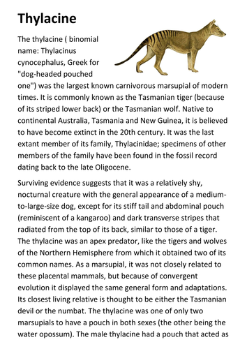 Thylacine (Tasmanian tiger ) Handout | Teaching Resources