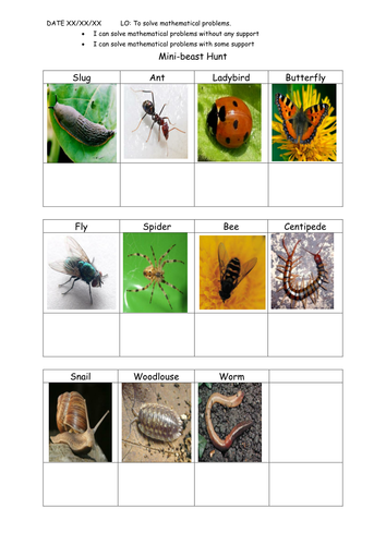 Mini-Beast Tally Chart | Teaching Resources