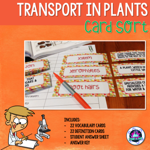 Transport in Plants Vocabulary Card Sort | Teaching Resources