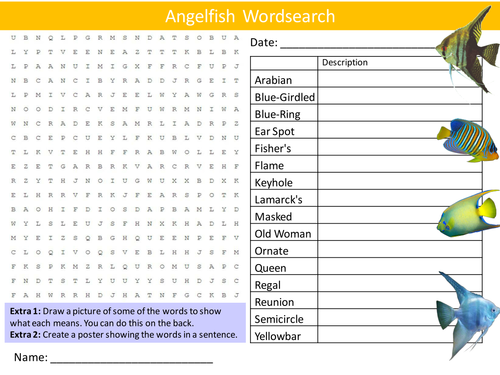 Angelfish Wordsearch Animals Fish Starter Activity Homework Cover ...