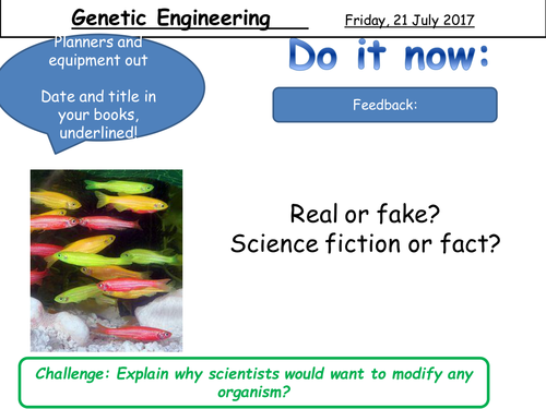 AQA Trilogy Biology Unit 7 Lesson 13 Genetic Engineering | Teaching ...